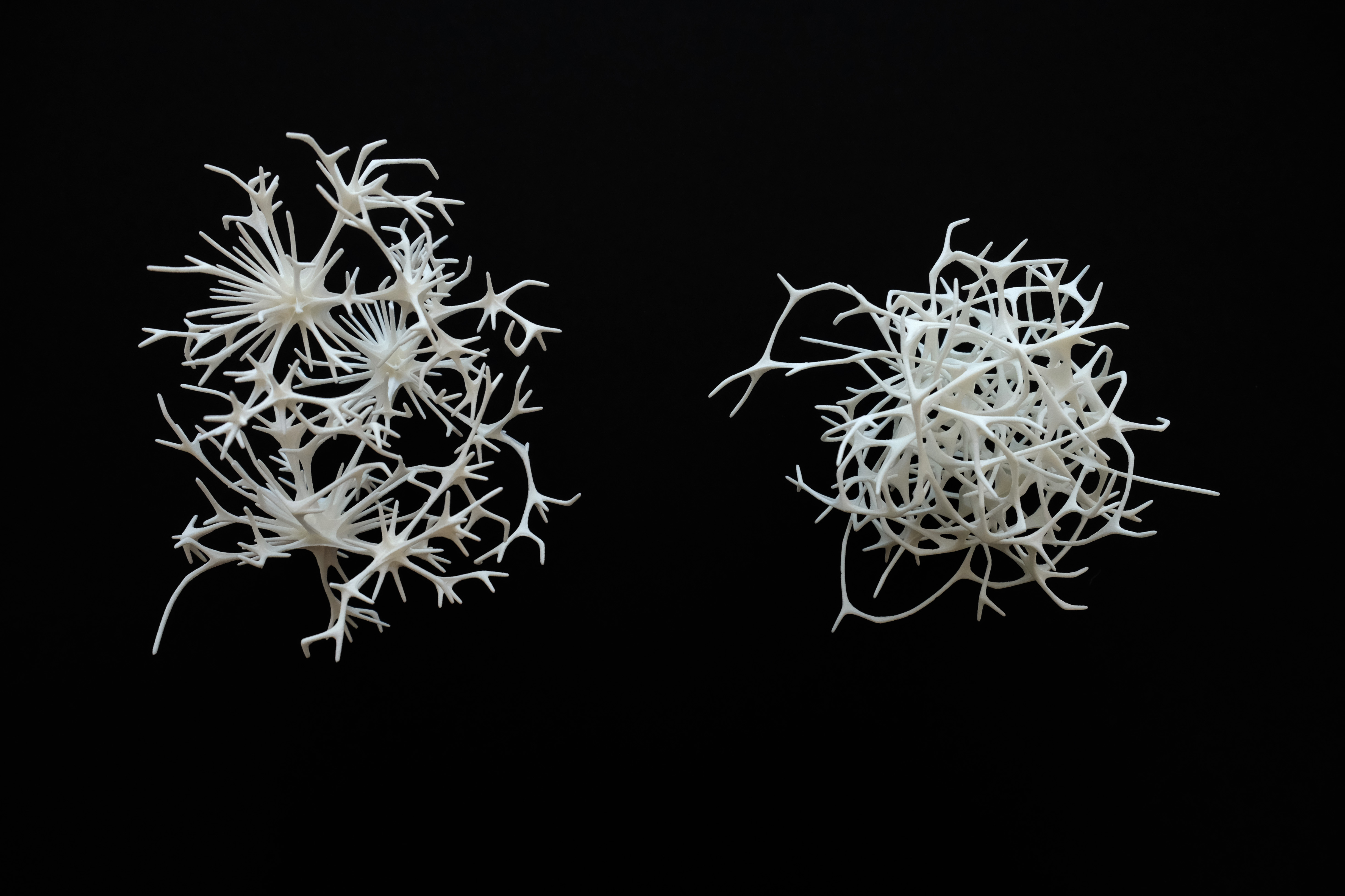 BARABASI LAB · ART · WORKS