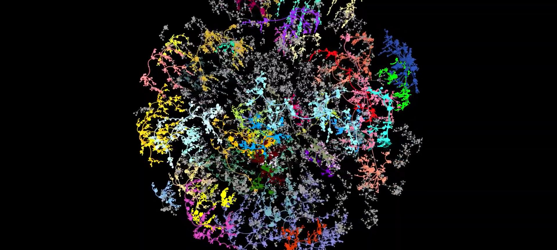 BARABASI LAB · ART · HOME