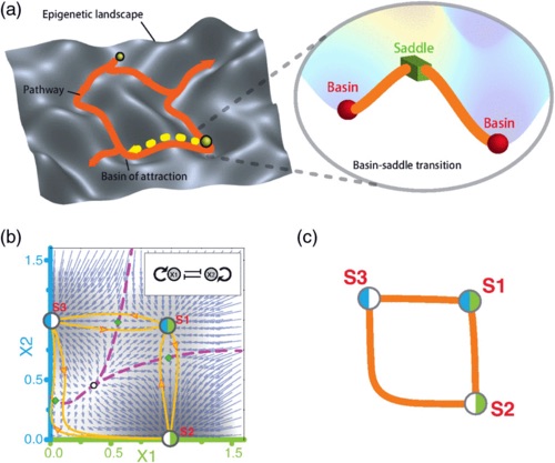 BARABASI LAB · SCIENCE · PUBLICATIONS