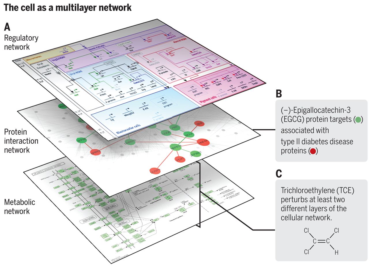 BARABASI LAB · SCIENCE · PUBLICATIONS
