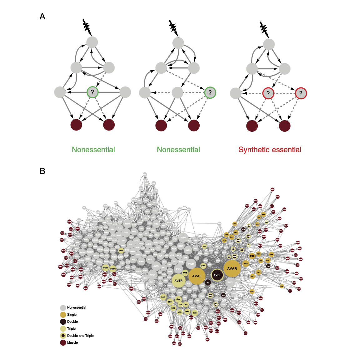BARABASI LAB · SCIENCE · PUBLICATIONS